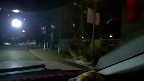 行车记录仪:一看就是新手,那么闪灯都没看见,这下好了!