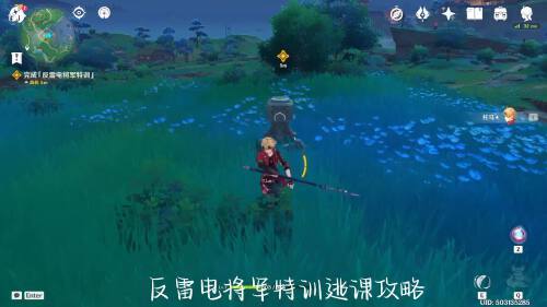 流风眷堇庭原神稻妻反雷电将军特训逃课攻略