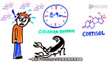 【中字】你喝咖啡的姿势正确么?来跟我学学正确的饮用姿势!@阿尔法...