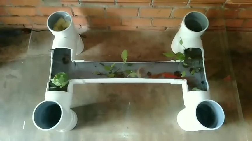 用PVC管做个鱼缸,鱼在管道里来回自由游,太惬意了