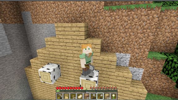 nor叔 我的世界萌新生存01 我有自己的房子啦