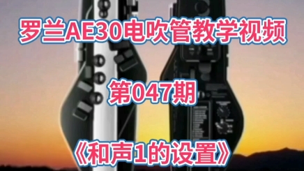 第047期《和声1的设置》罗兰AE30电吹管系列教学视频,中文最新版。