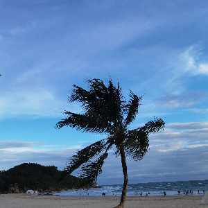 昨天沧桑明日迷茫 