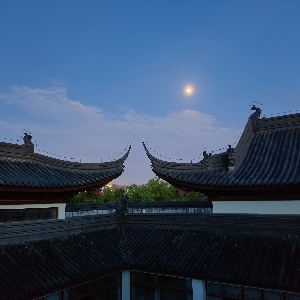 哈哈哈哈哈哈花花花 
