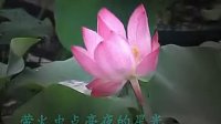 凤凰传奇MV 荷塘月色(带歌词)