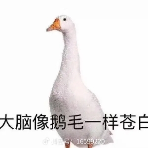 TXZ糖果 