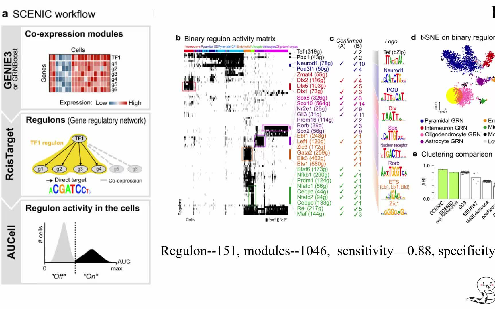 SCENIC单细胞转录因子预测