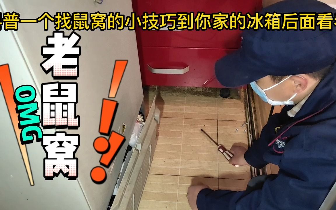 怎么找到家里的老鼠窝?