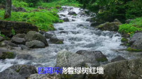 大热歌曲《让我们荡起双桨》歌词朗朗上口,流畅自然