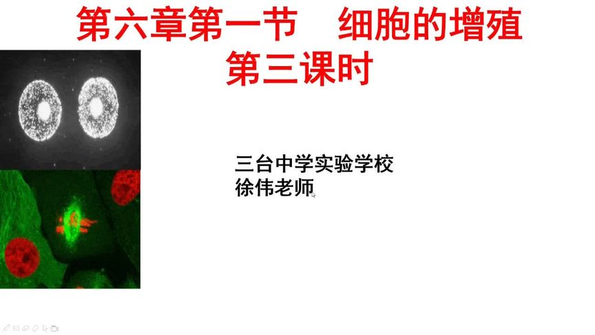 人教版生物系列视频课:细胞增殖第三课时(四川话版)