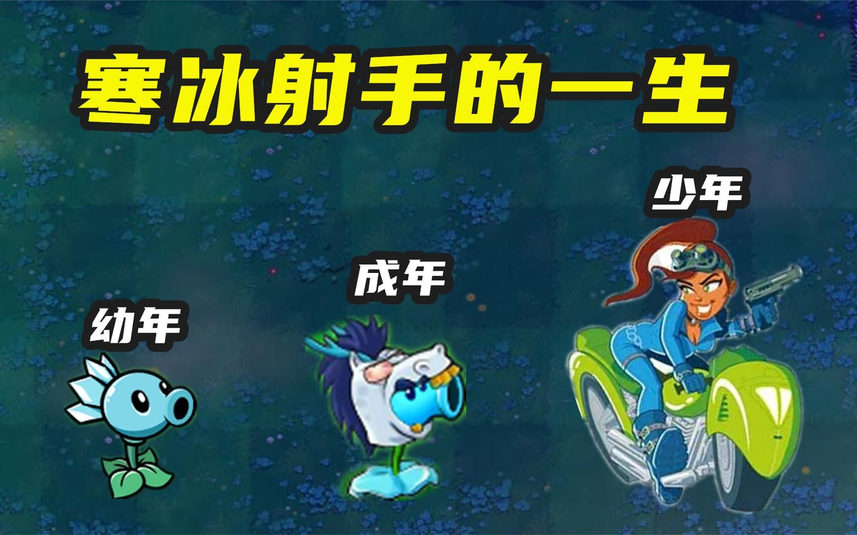 植物大战僵尸:寒冰射手的一生,少年成为女骑士,老年浪子回头!_哔哩...