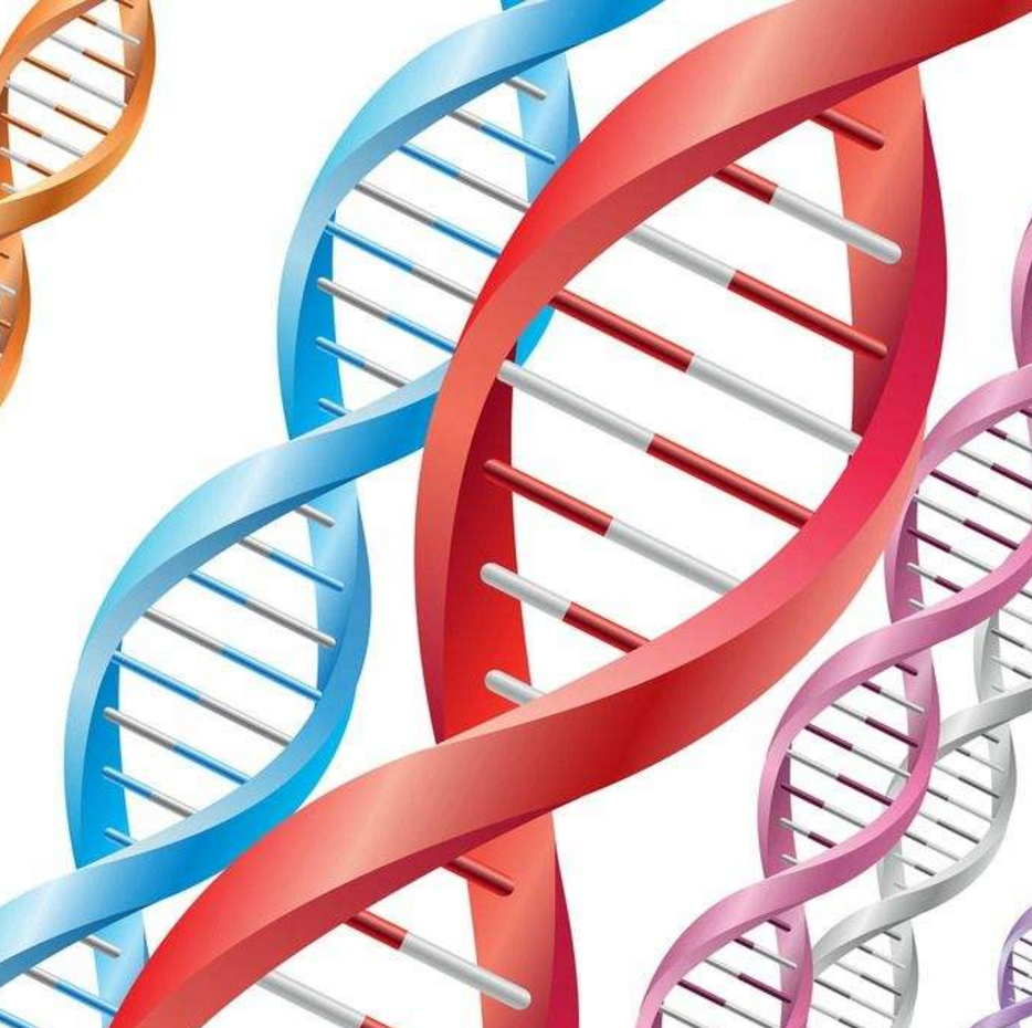 暑假也营业的生物老师 