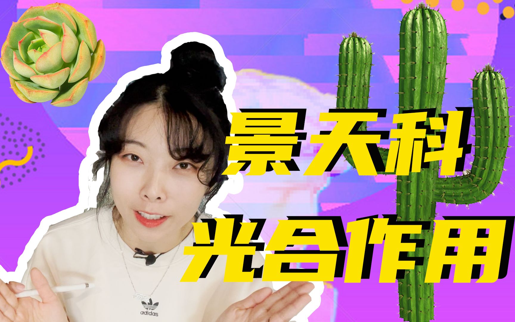 高中生物【光合作用】景天科CAM植物光合途径大揭秘|细胞代谢