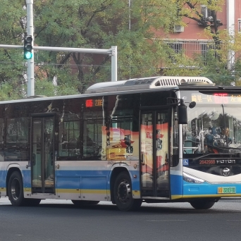 没被抹去跨越のDF11猪 