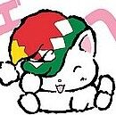 睡着了的猫 