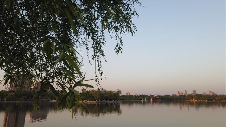 你知道大明湖河畔的夏雨荷吗