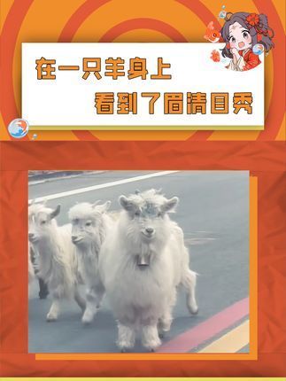 我说当年美羊羊为啥只喜欢喜羊羊呢#在一只羊的身上看到了眉清目秀 ...