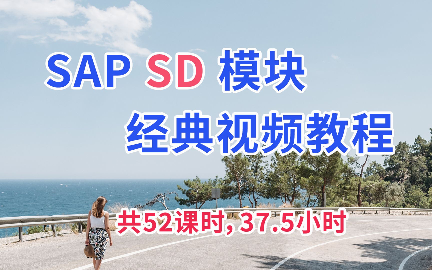 SAP SD模块经典PA视频课程 SAP销售与分销视频教程 英文界面中文...
