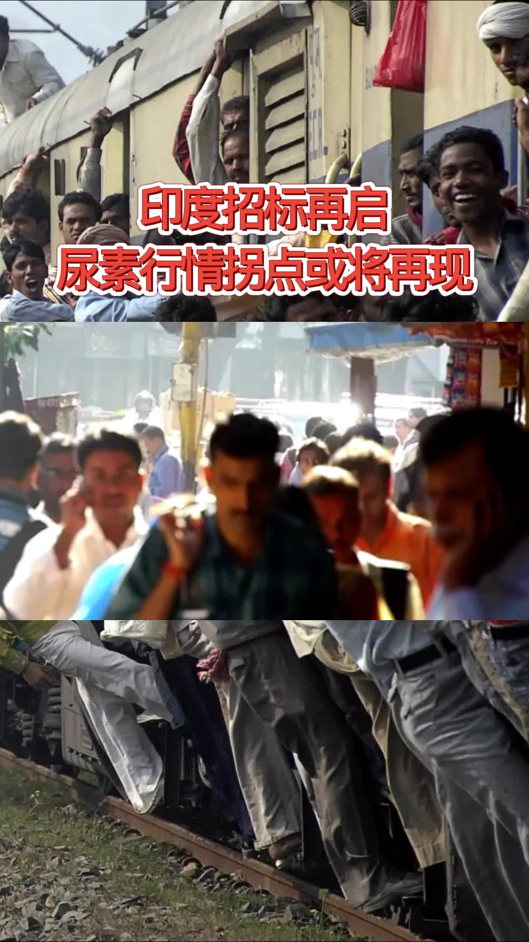 印度招标再启,尿素行情拐点或将再现!#农业 #三农 #农资 #肥料 #农资...