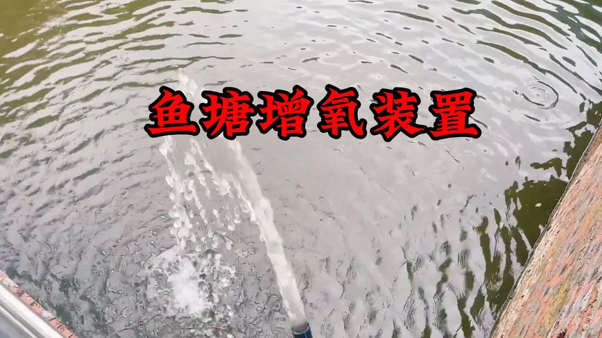 鱼塘的鱼缺氧 只需简单的材料就能制作一个鱼塘氧气增氧装置