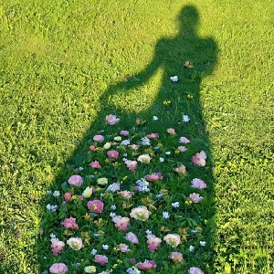 花开有期77 