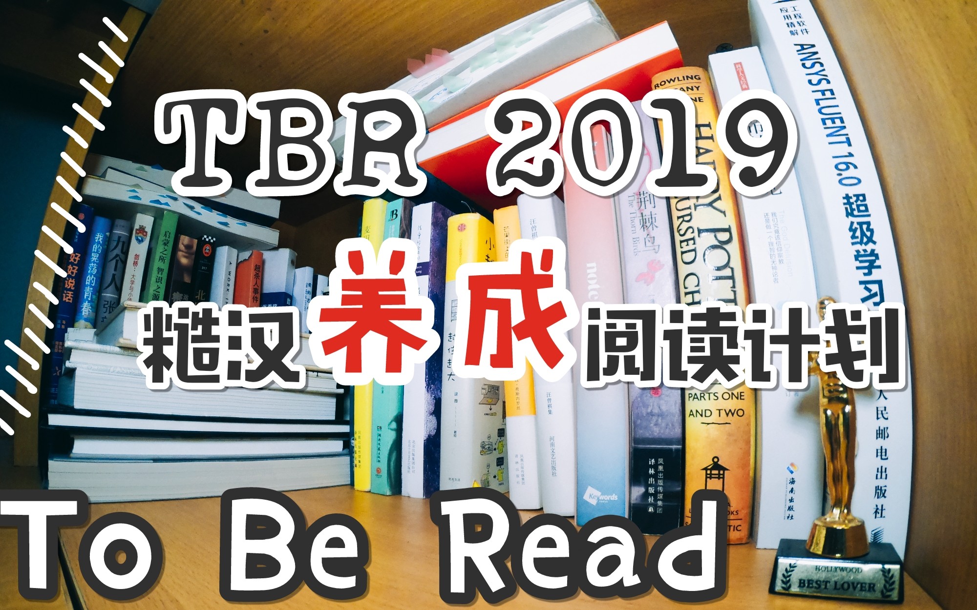 糙汉的阅读规划|To Be Read|待读书单|TBR 2019|Anthony