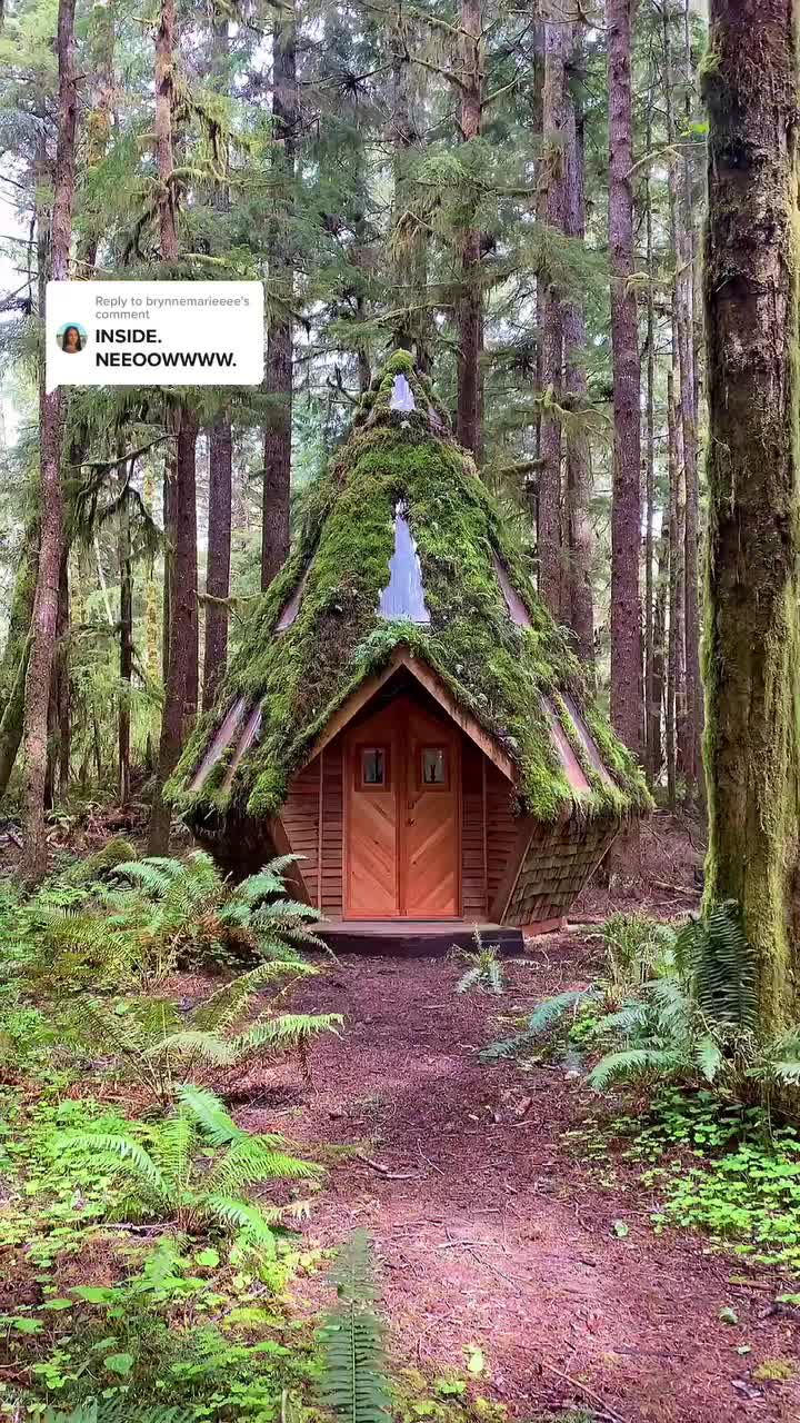 童话般的森林小木屋#住进风景里 #山居生活 #小木屋 #旅游 #向往的民宿