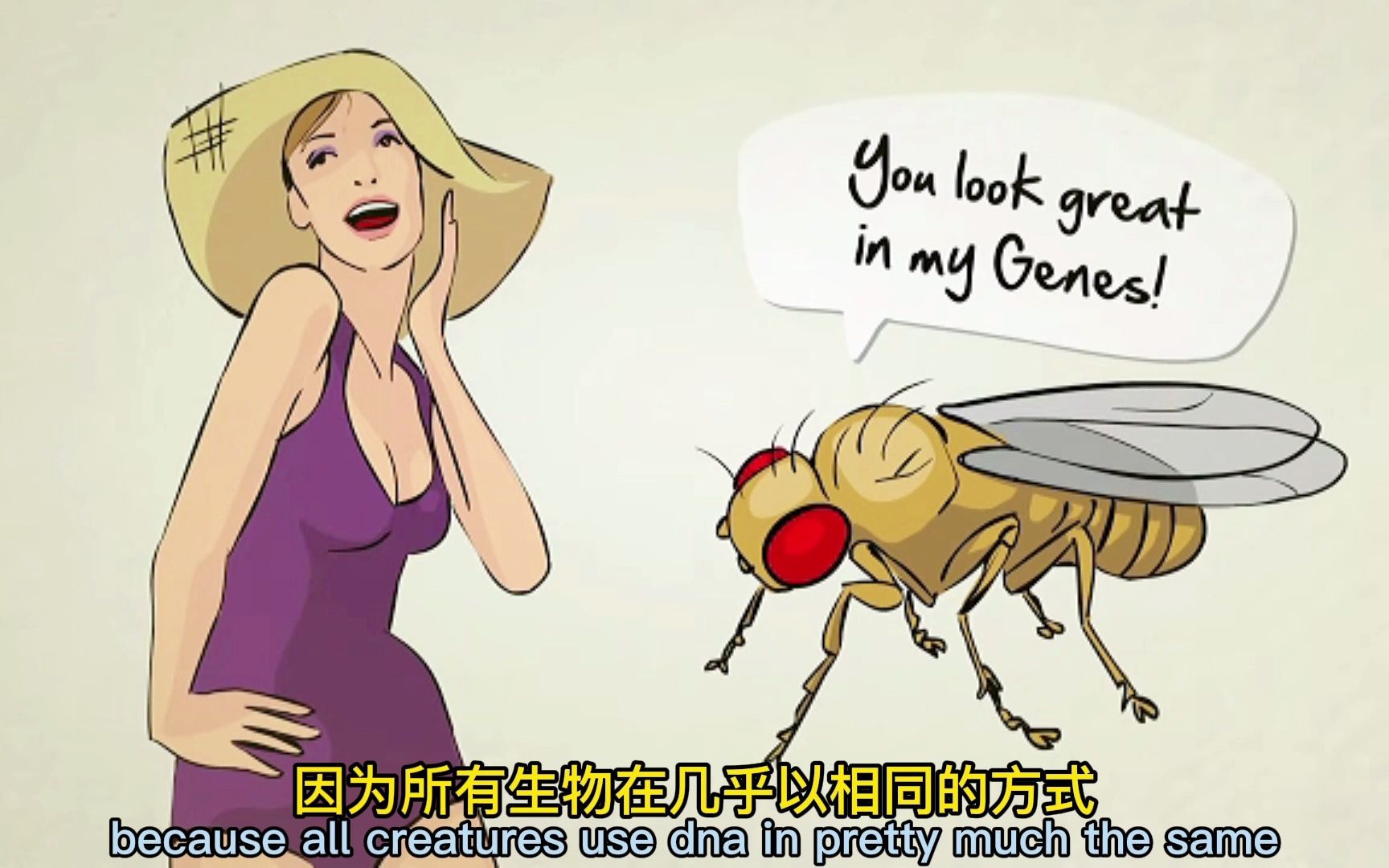 什么是基因?泳装模特与果蝇有什么共同之处呢?