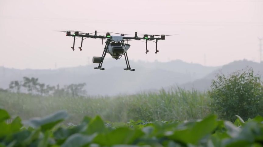 无人机还能这么用?大疆DJI无人机在农业领域中的应用