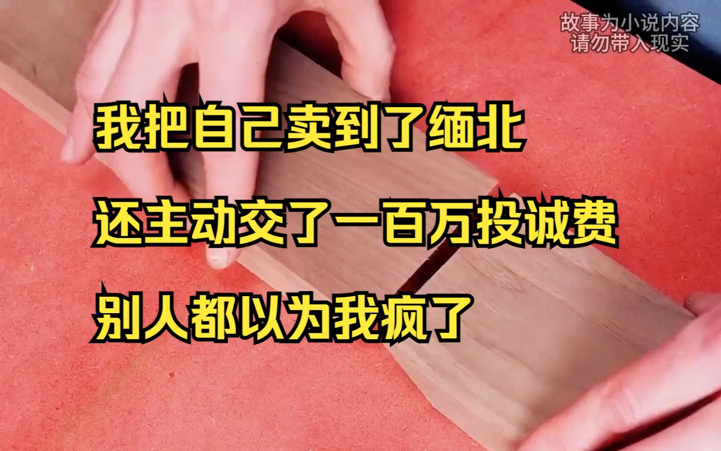 【小说】我把自己卖到了缅北,还主动交了一百万投诚费,别人都以为我...