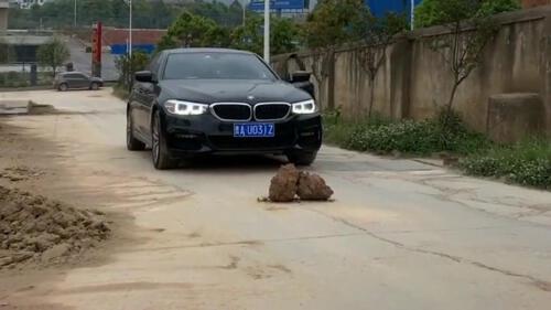 这么大的工程,难道都不用招投标吗?下车后,又测量又叫挖掘机的