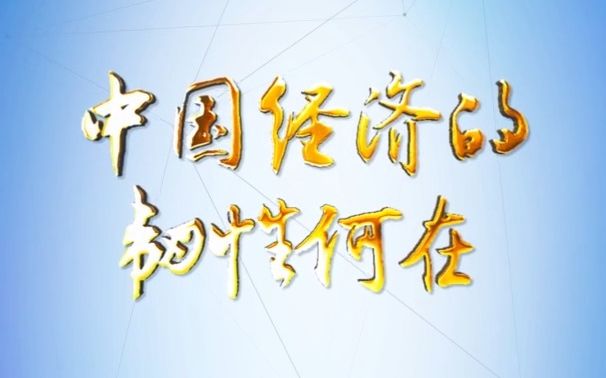 理论一点点|中国经济的韧性何在