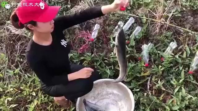 美女是钓鱼高手呀,挂了排空瓶子,钓上好多大鱼