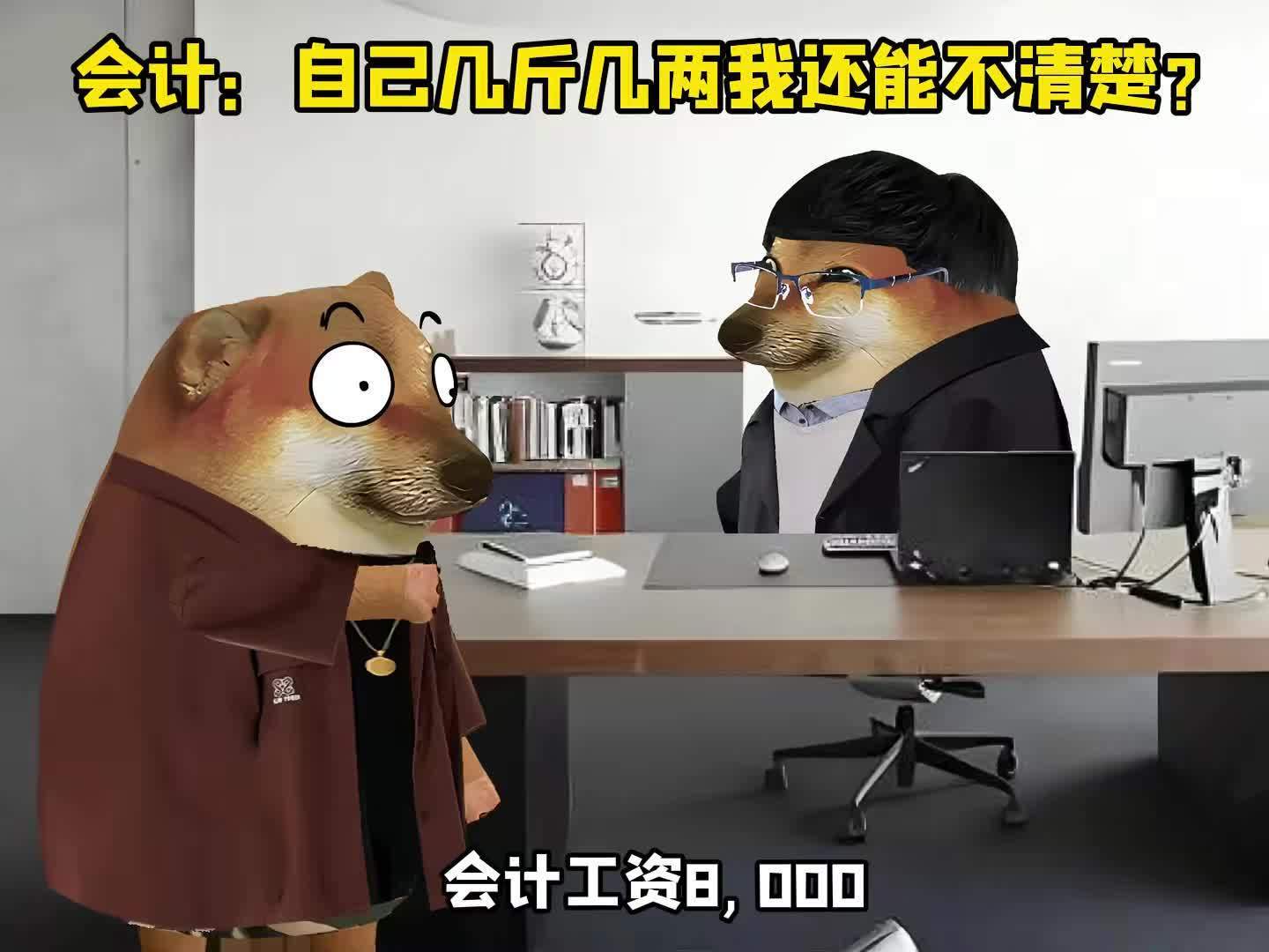 当会计面试遇到高薪,应聘者惊喜反应,结局令人意外