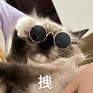 路费当家 
