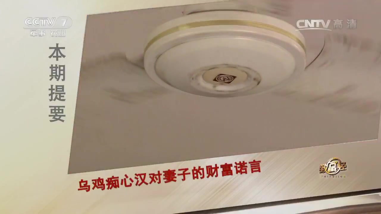 《致富经》 20170505 乌鸡痴心汉对妻子的财富诺言