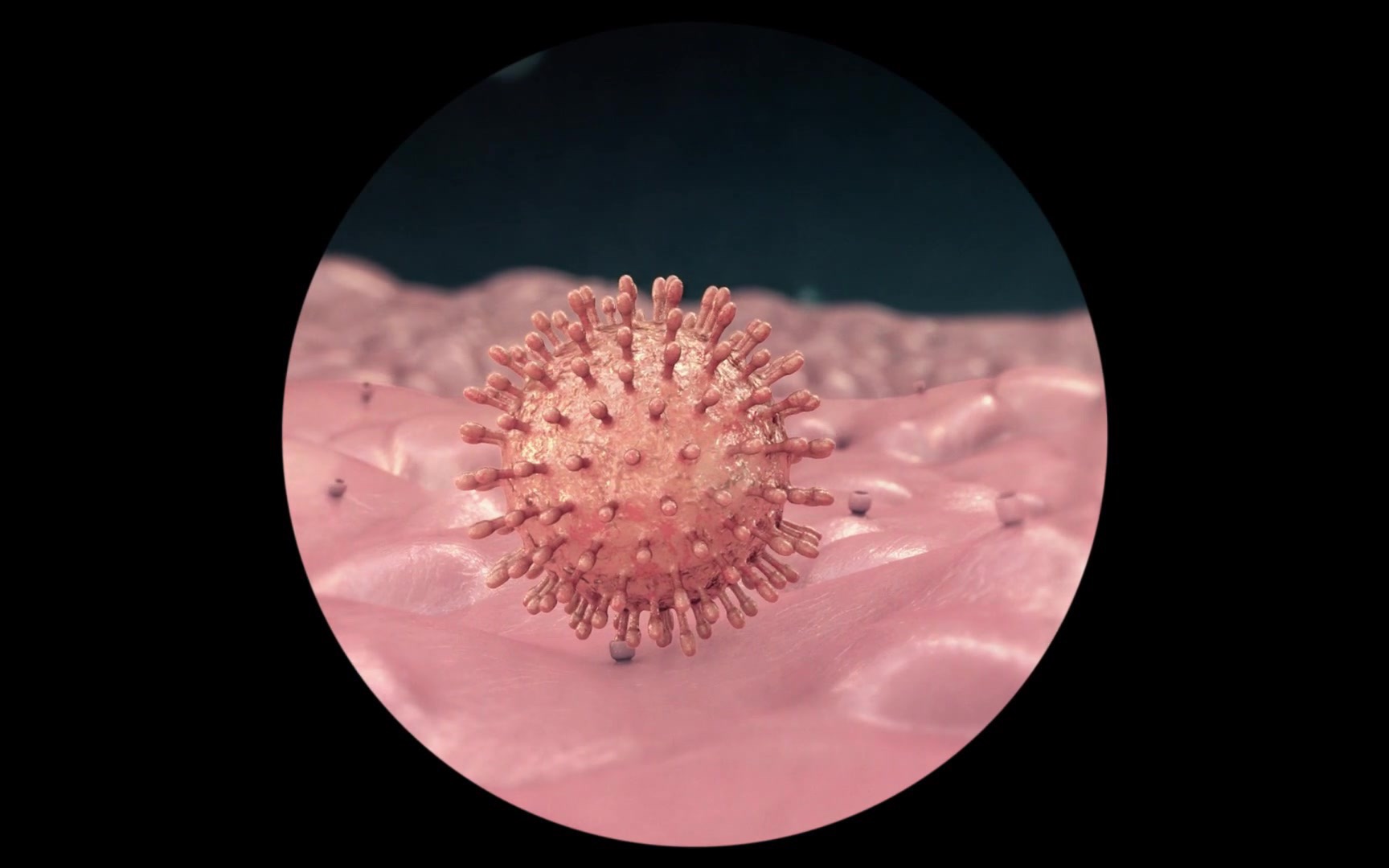 各种病毒入侵人体及复制过程3d可视化 Micropia