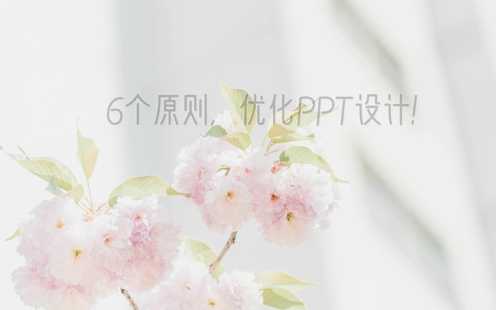 6个原则,优化PPT设计!_多媒体课件制作软件