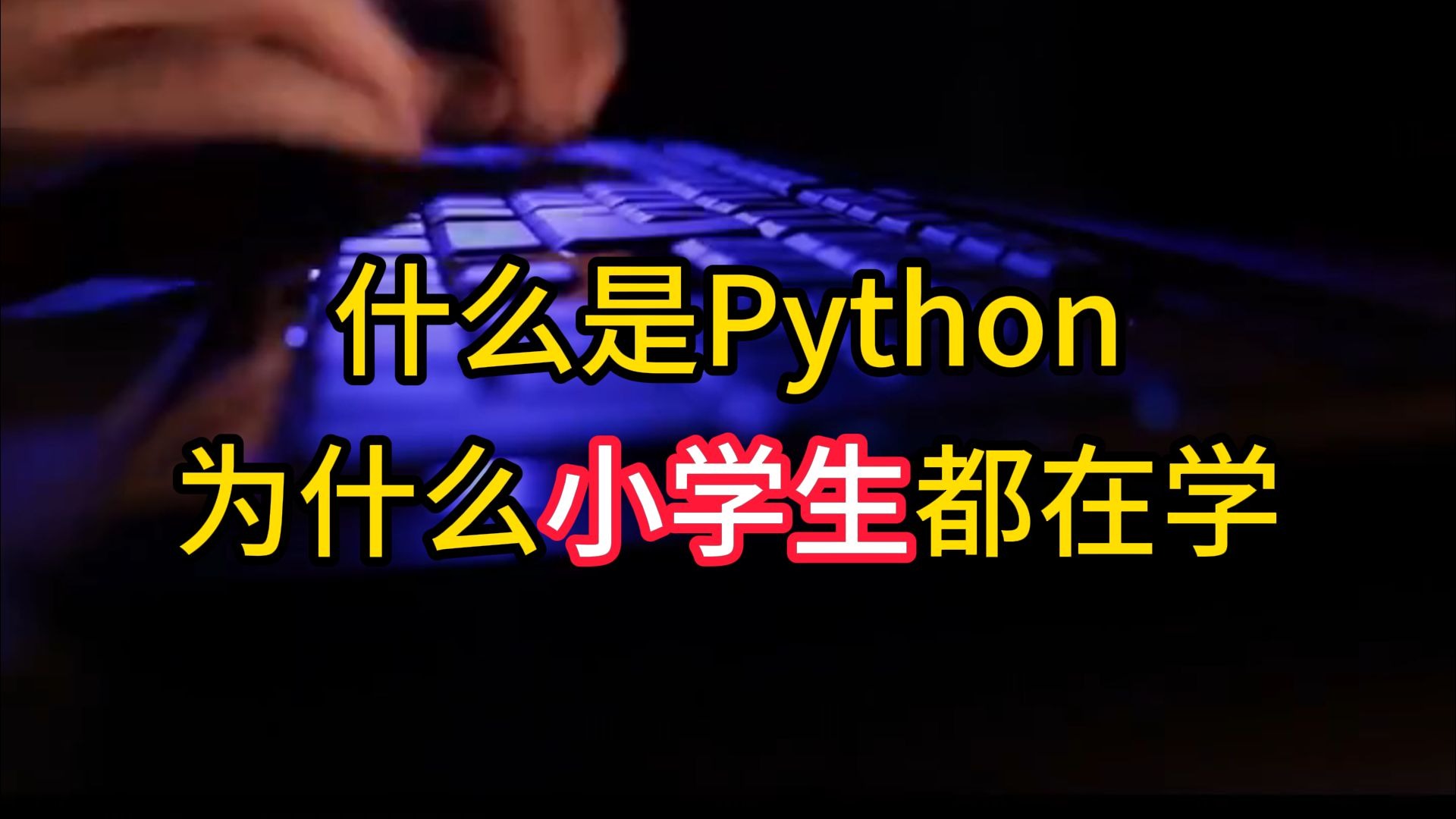 什么是Python?为什么小学生都在学?Python真的牛!