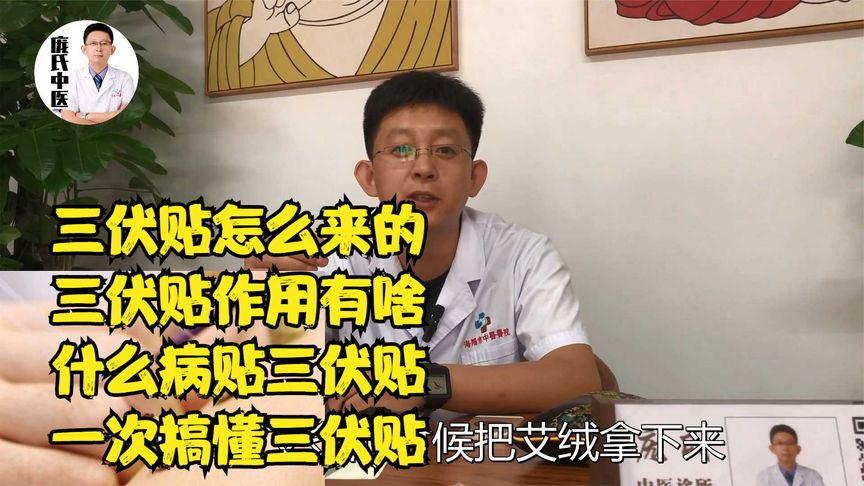 三伏贴怎么来的 三伏贴作用有啥 什么病贴三伏贴 一次搞懂三伏贴