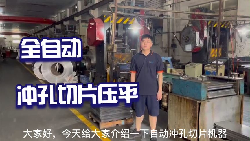 全自动冲孔切片机