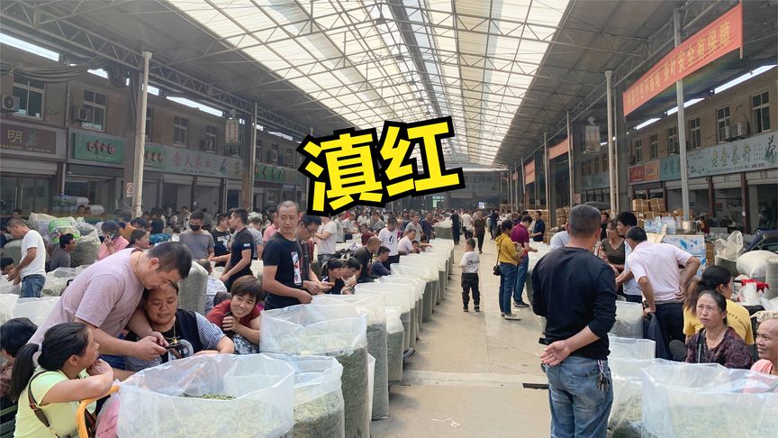 今天就聊聊“滇红”,这几个点要注意了,小心踩坑