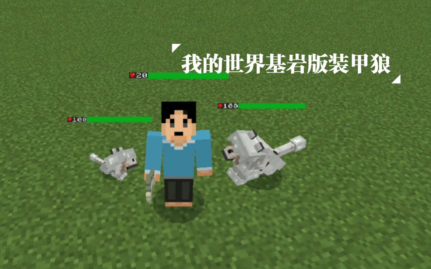 我的世界基岩版装甲狼介绍