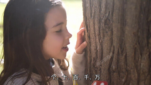 你知道中文对数字的表达有多惊艳吗?