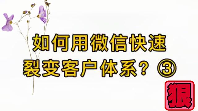 如何用微信快速裂变客户体系