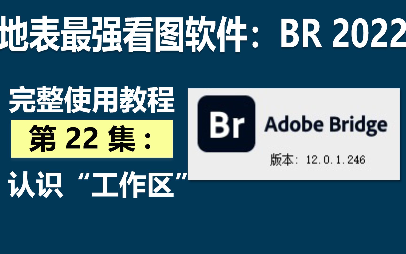 地表最强看图软件:BR2022完整教程第22集 认识"工作区"