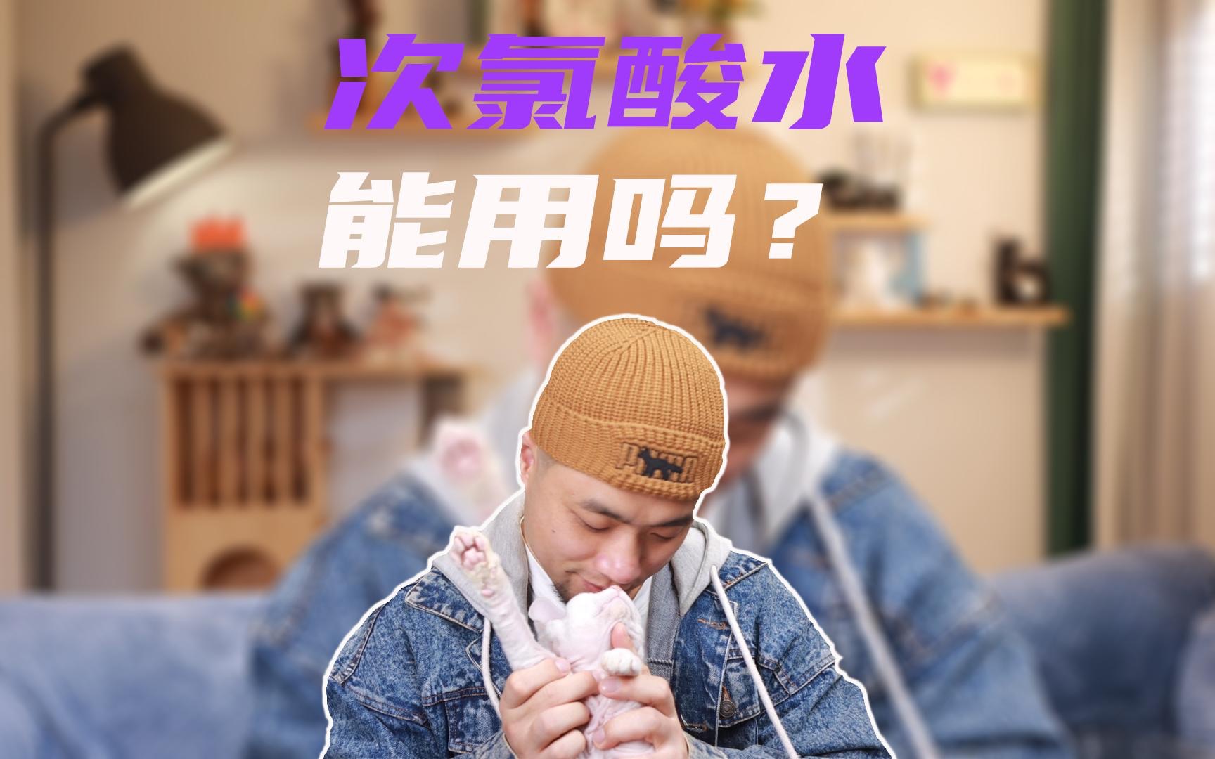 风很大的次氯酸,养猫家庭应该使用吗?