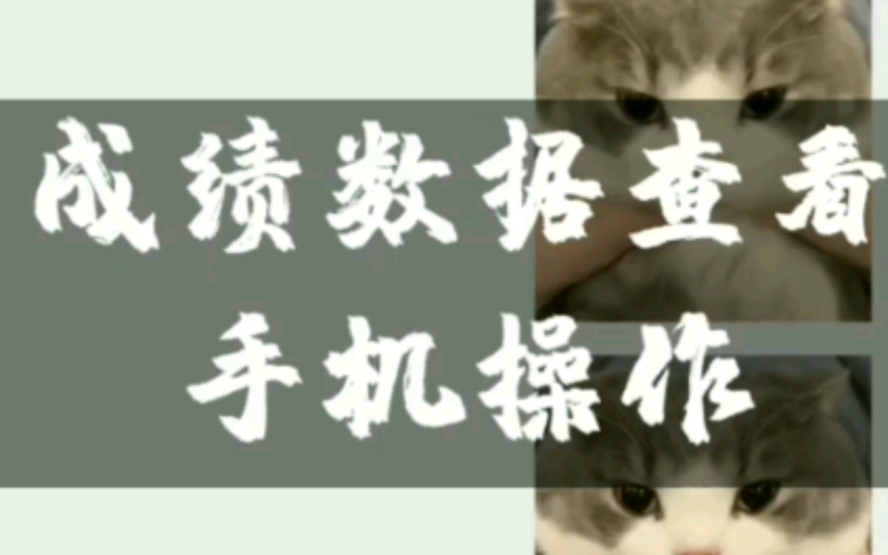 【手机WPS小技巧】成绩数据查看方式