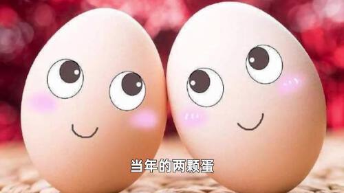 牧场模拟器05:小镇养鸡家!