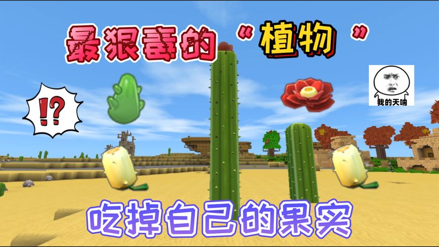 迷你世界:最狠毒的植物“仙人掌”它会吃掉自己果实,让自己消失